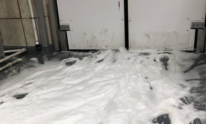 Featured Product: Timed Entryway Foamer